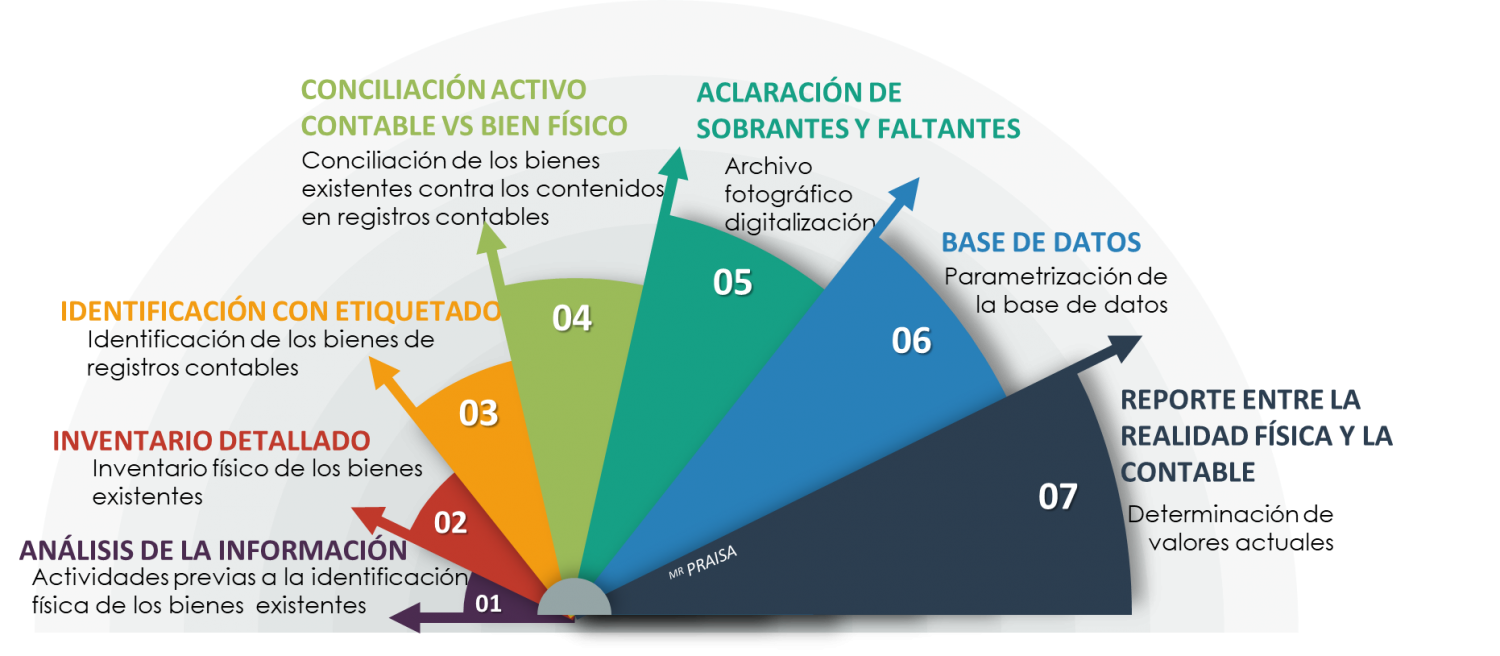 Conciliación de inventario físico de los activos vs el registro ...